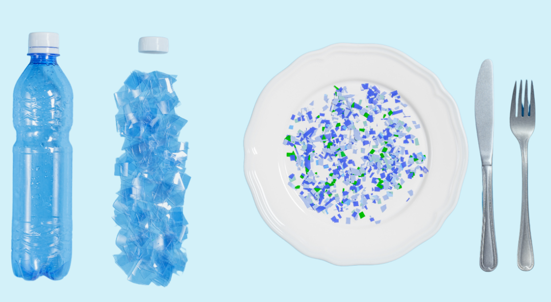 What Are Microplastics, and Why Are They in Our Water?