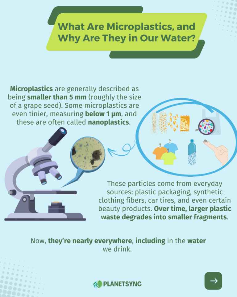 What Are Microplastics, and Why Are They in Our Water?