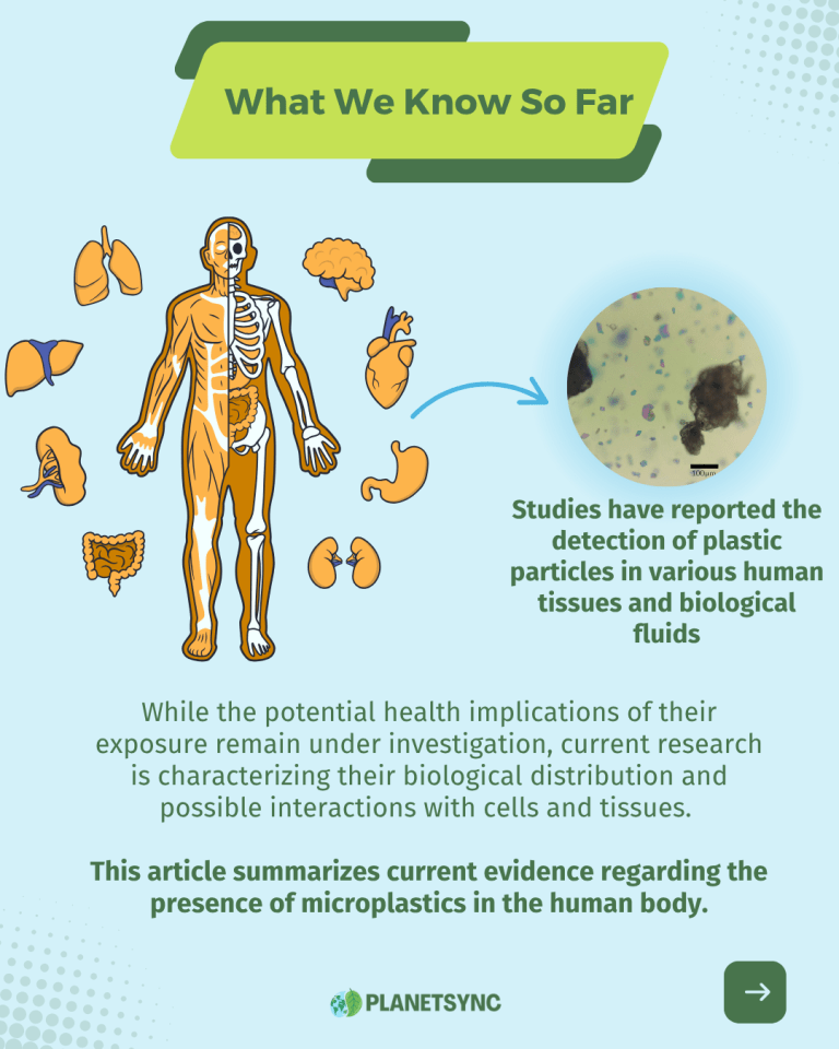 Microplastics in the Human Body: What We Know So Far