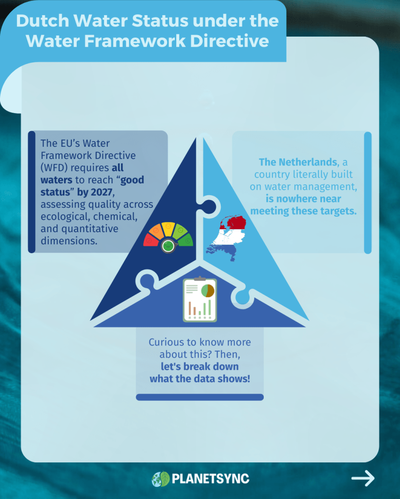 Dutch Water Status under the Water Framework Directive: Progress ...