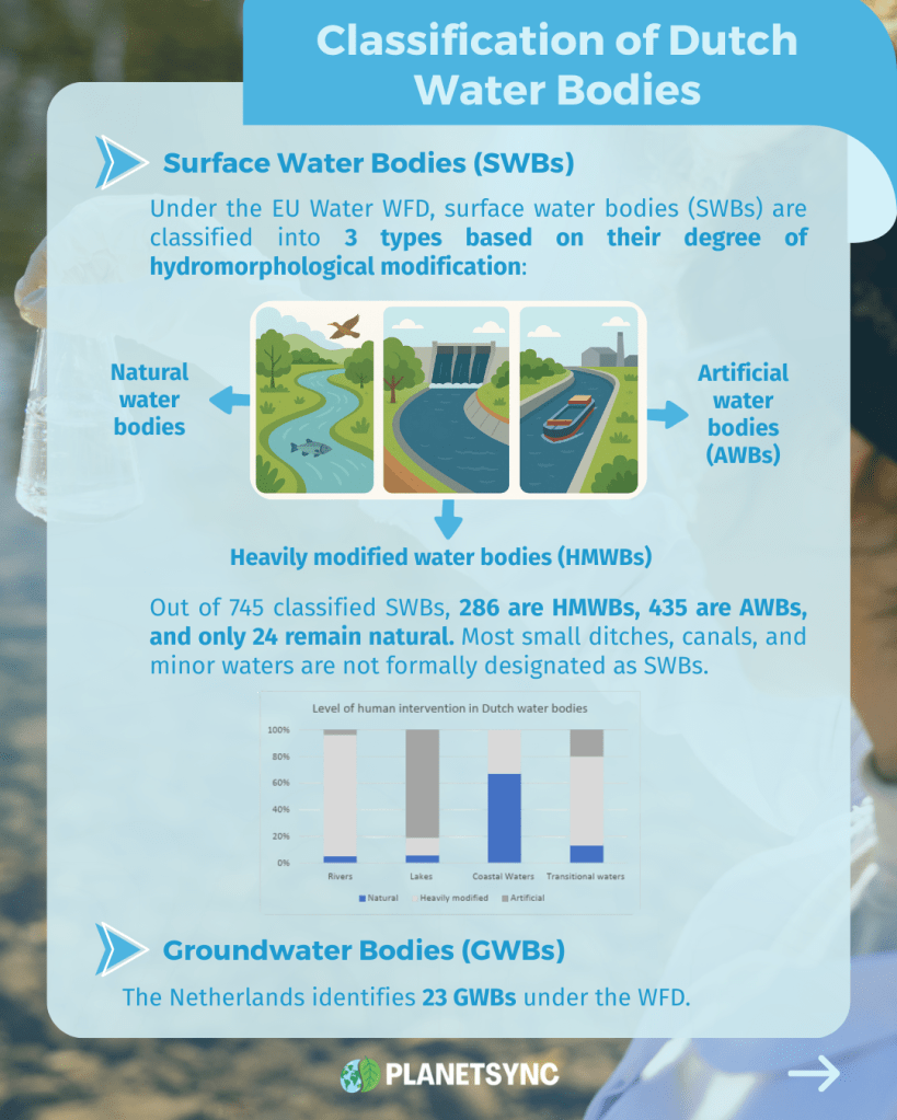 Water Quality Challenges in the Netherlands: Driving Forces and Key ...