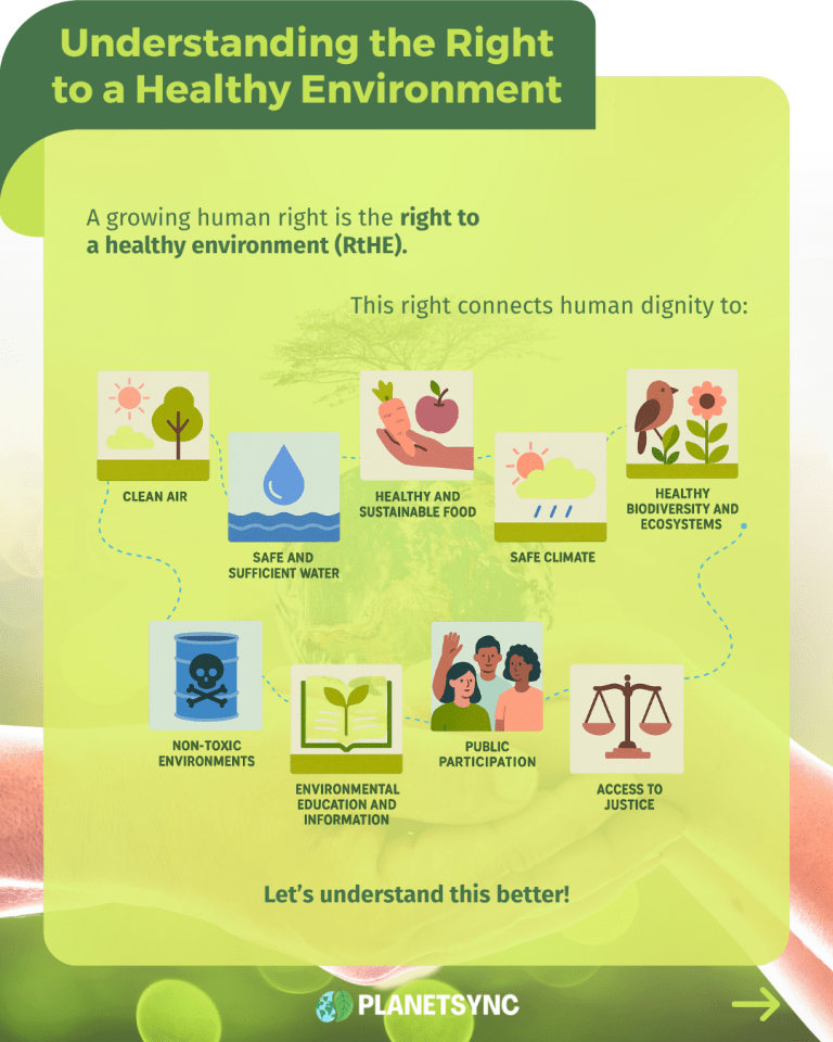 Understanding the Right to a Healthy Environment