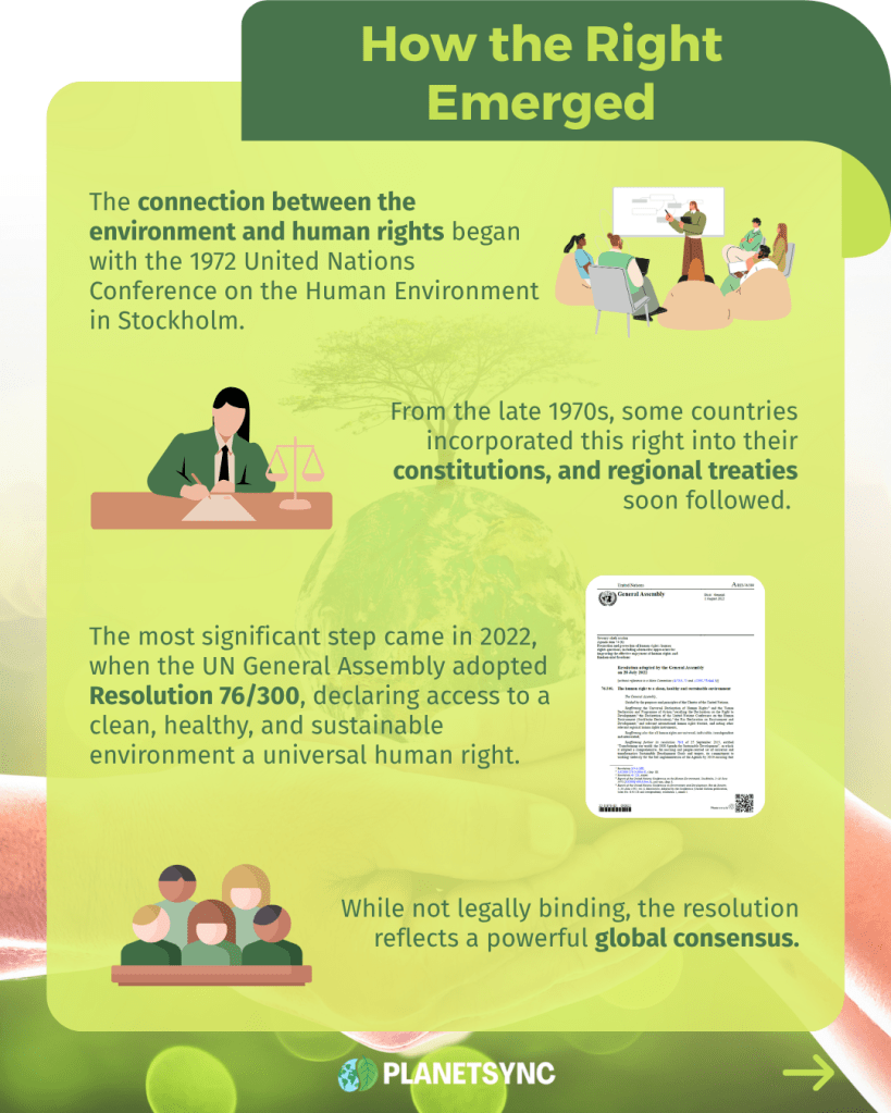 Understanding the Right to a Healthy Environment