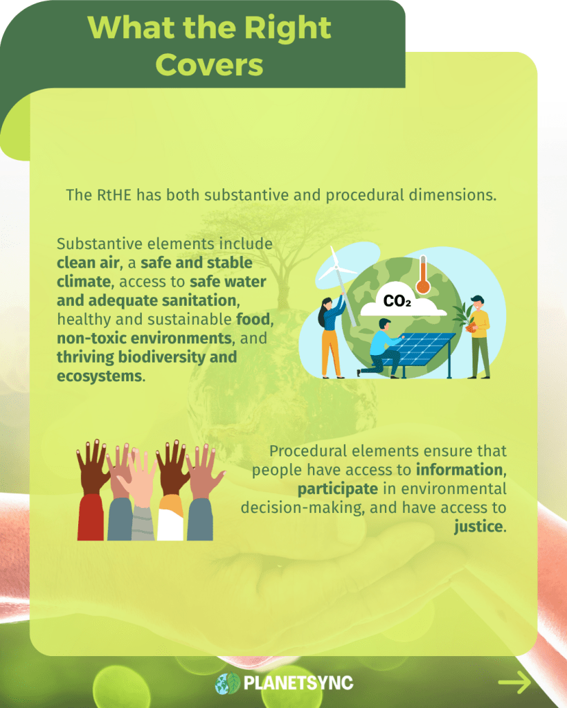 Understanding the Right to a Healthy Environment