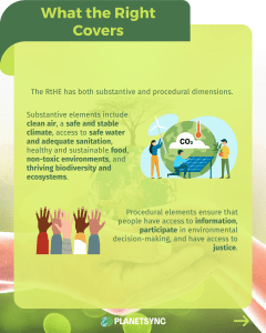 Understanding the Right to a Healthy Environment