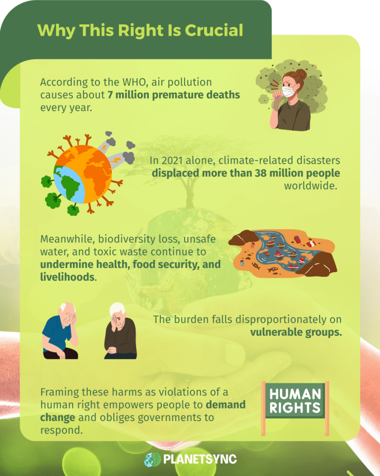 Understanding the Right to a Healthy Environment